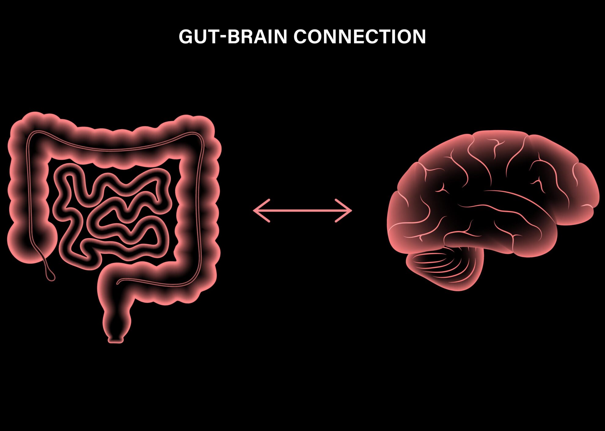 The Link Between The Gut And Serotonin | Blog